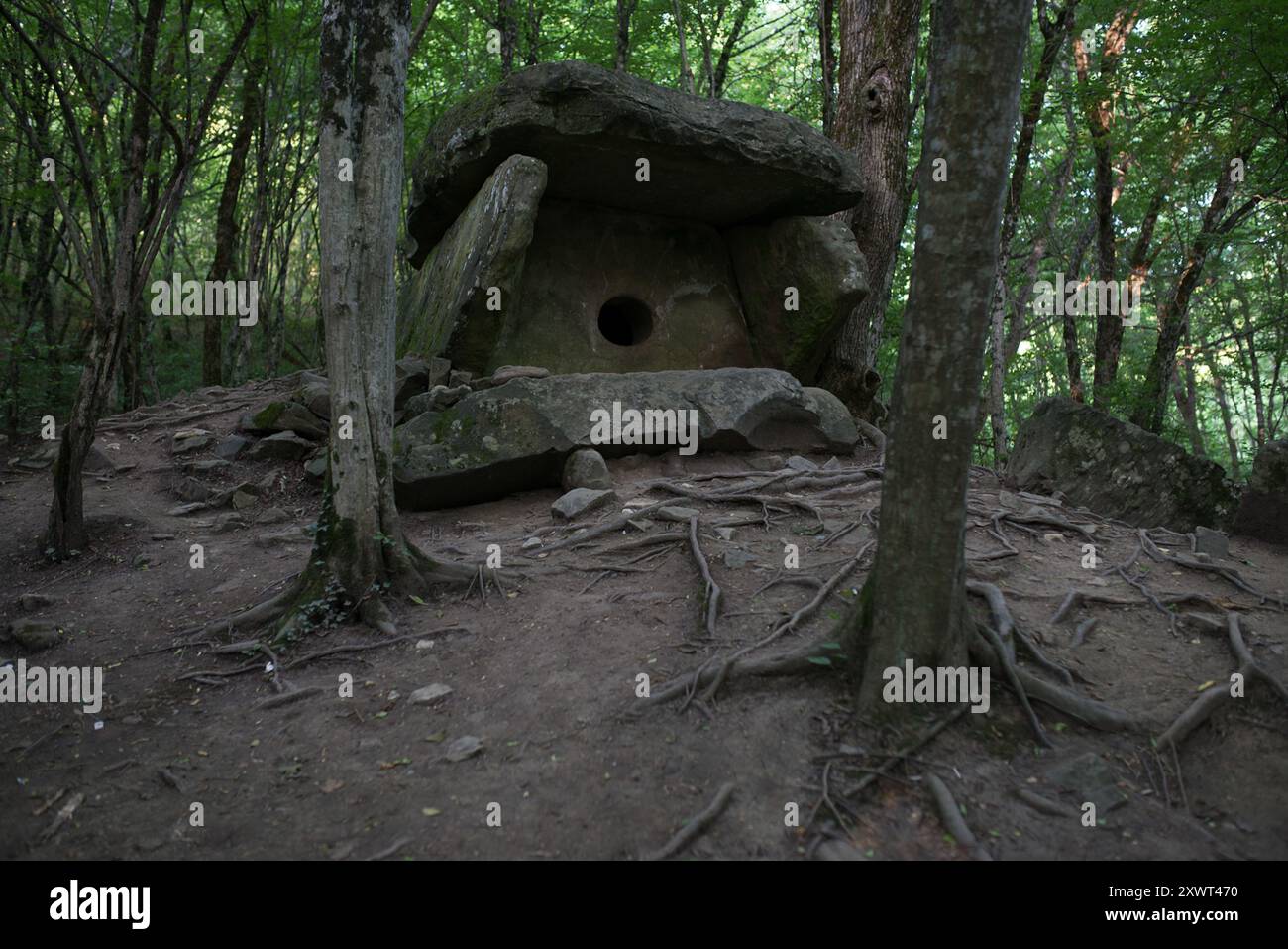 An ancient dolmen structure surrounded by trees in the Gelendzhik ...
