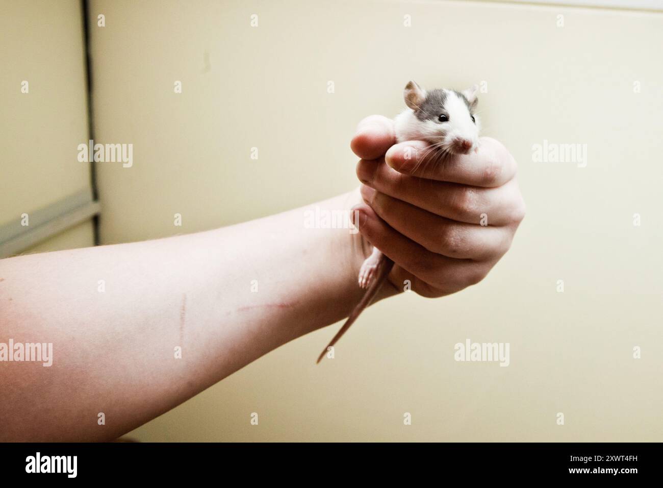 Protection you can trust hi-res stock photography and images - Alamy