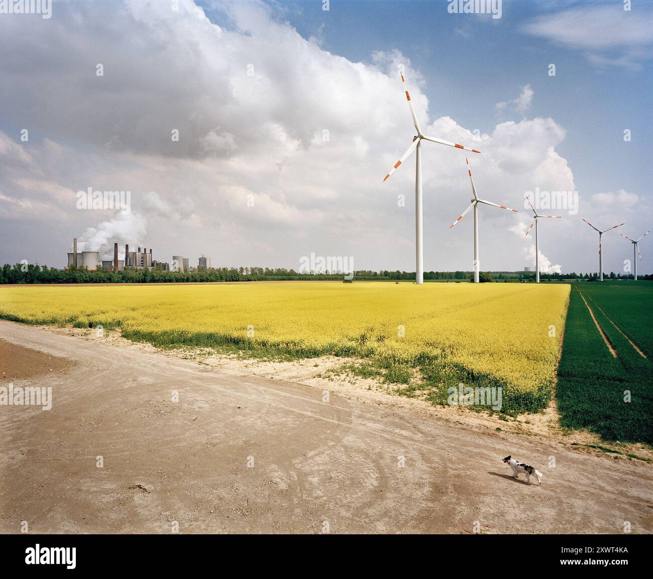 A striking image depicting the contrast between traditional and ...