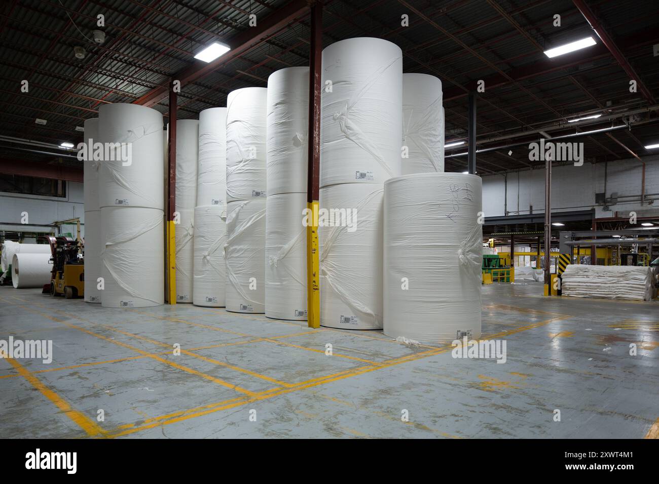 Large rolls of tissue paper stacked in an organized manner in a ...