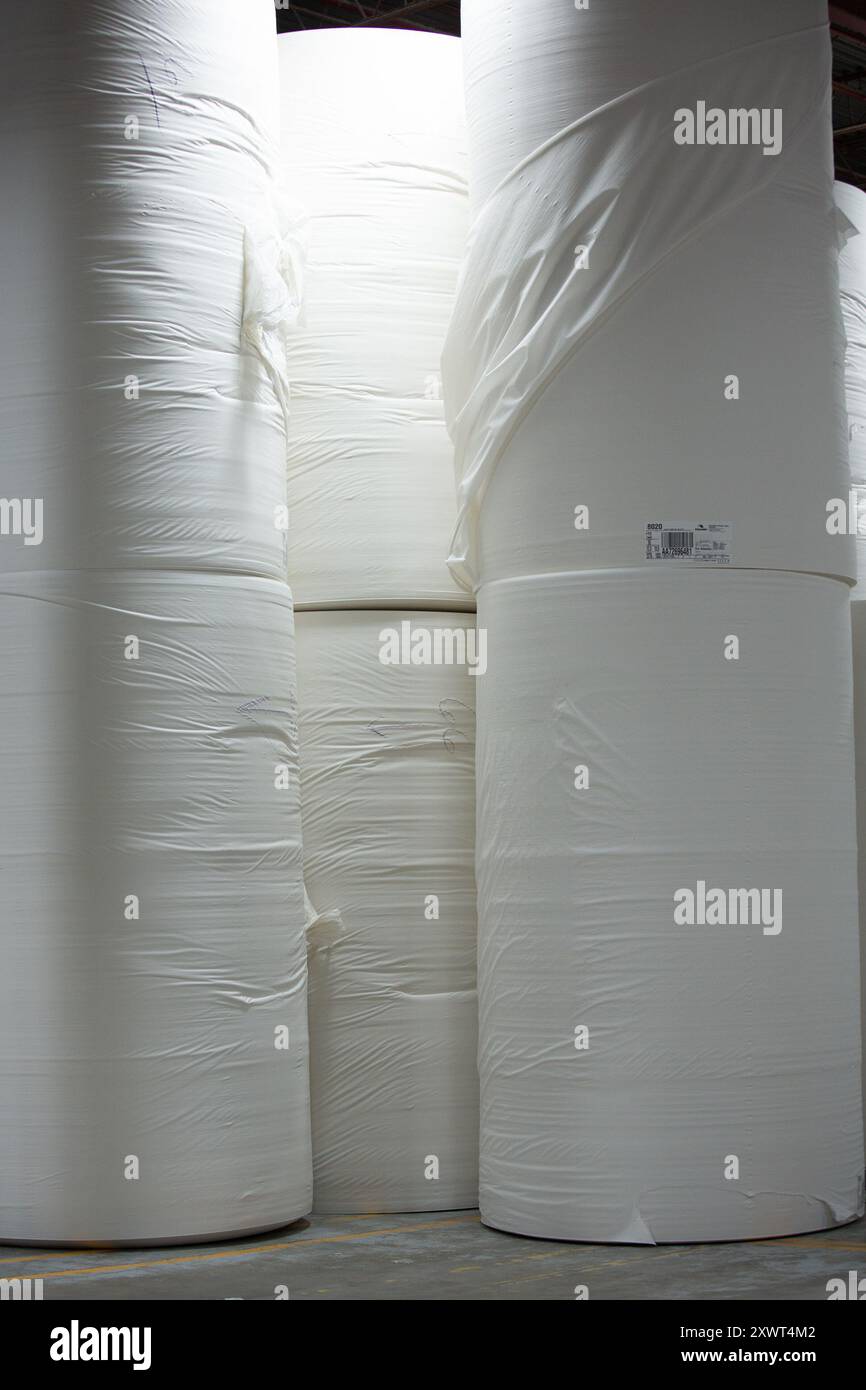 Close-up view of large rolls of white tissue paper stacked in an ...