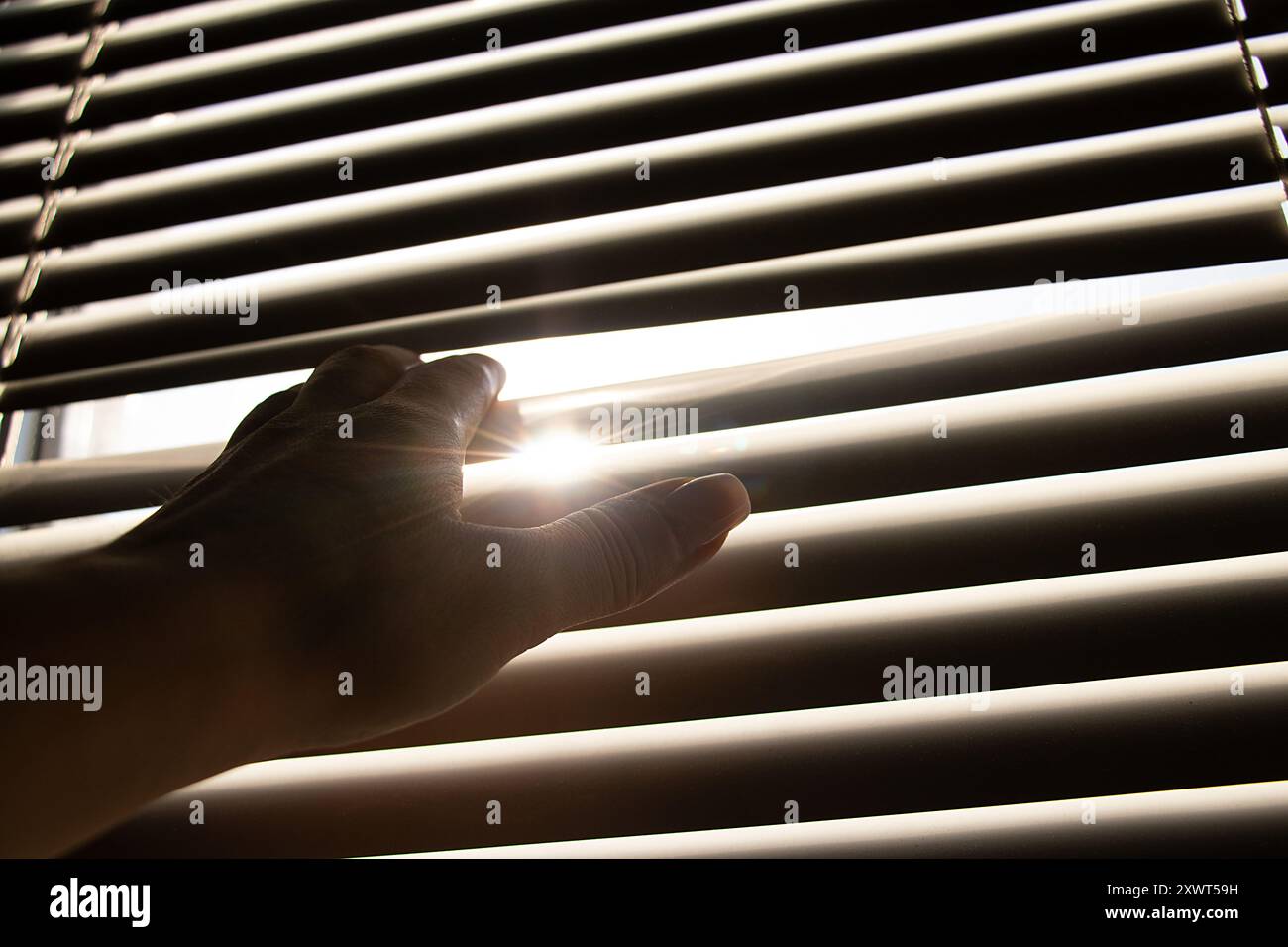 Woman's hand opens white blinds on window and lets sunlight in ...
