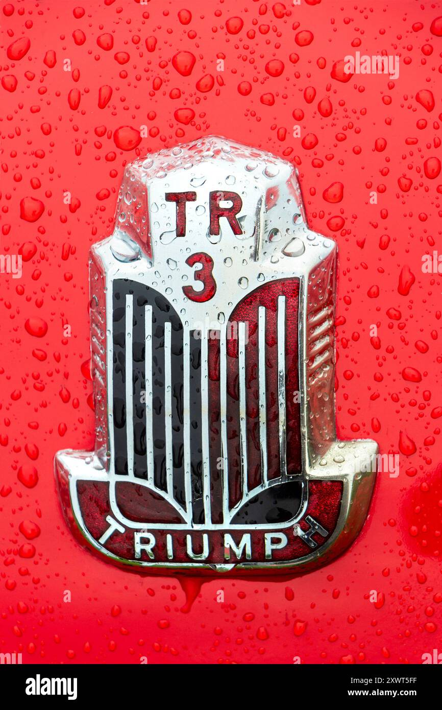 vintage classic triumph TR3 chrome car bonnet badge and logo with ...