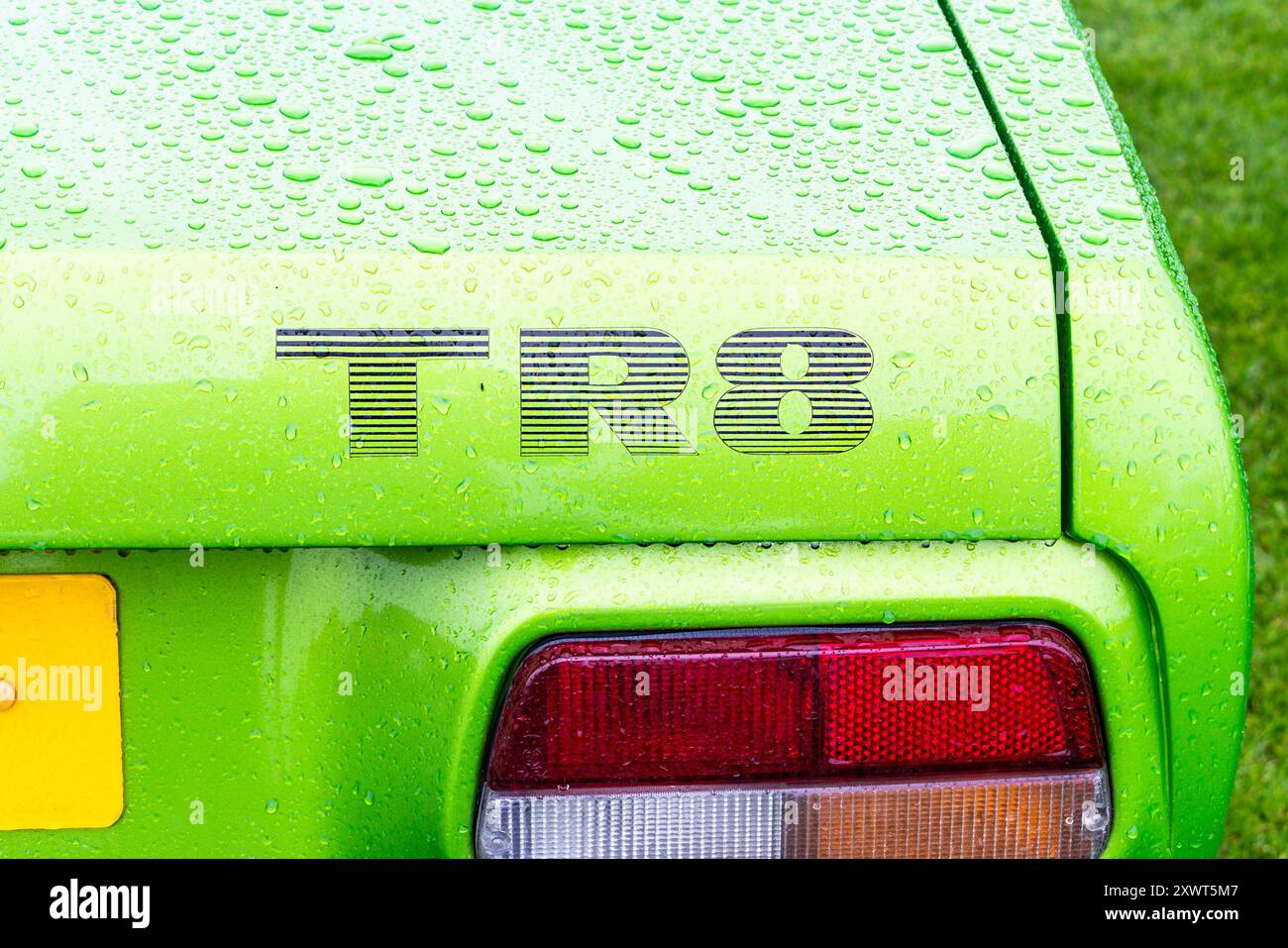 vintage classic triumph TR8 badge and logo with raindrops on metallic ...