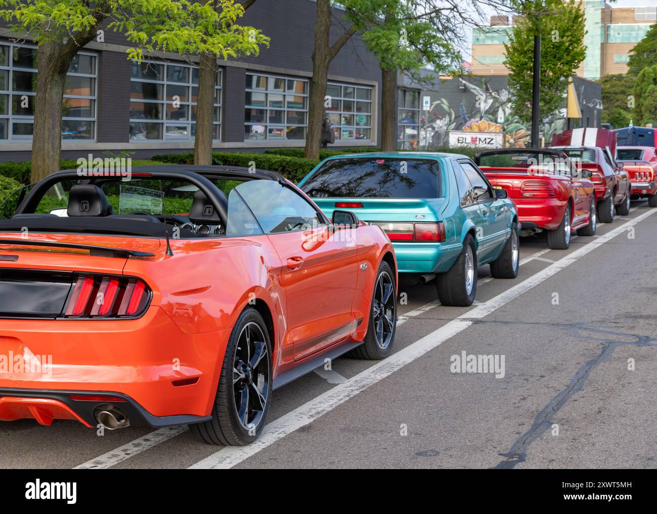FERNDALE, MI/USA - AUGUST 17, 2023: Line of Ford Mustang cars at ...