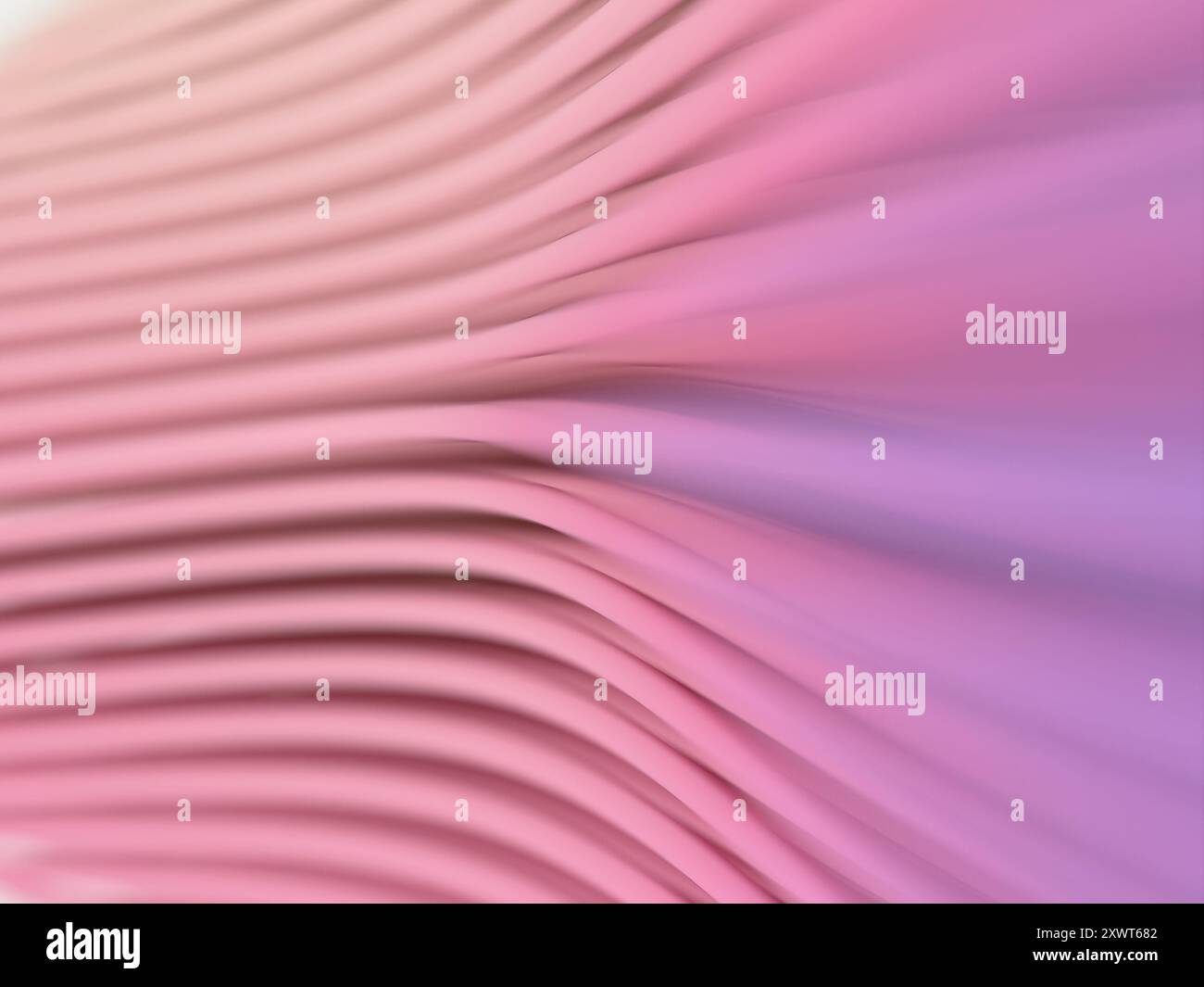 Smooth wavy lines in color gradient of soft pink and lavender with bokeh. Digital 3D rendering ...