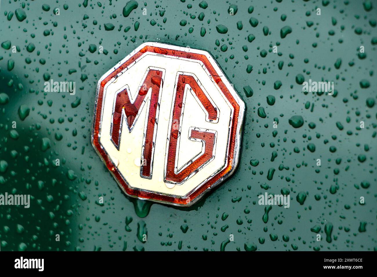 vintage classic MG MGB chrome car bonnet badge and logo with raindrops ...