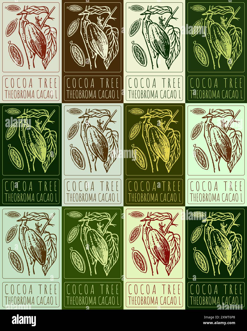 Set of vector drawing COCOA TREE in various colors. Hand drawn ...