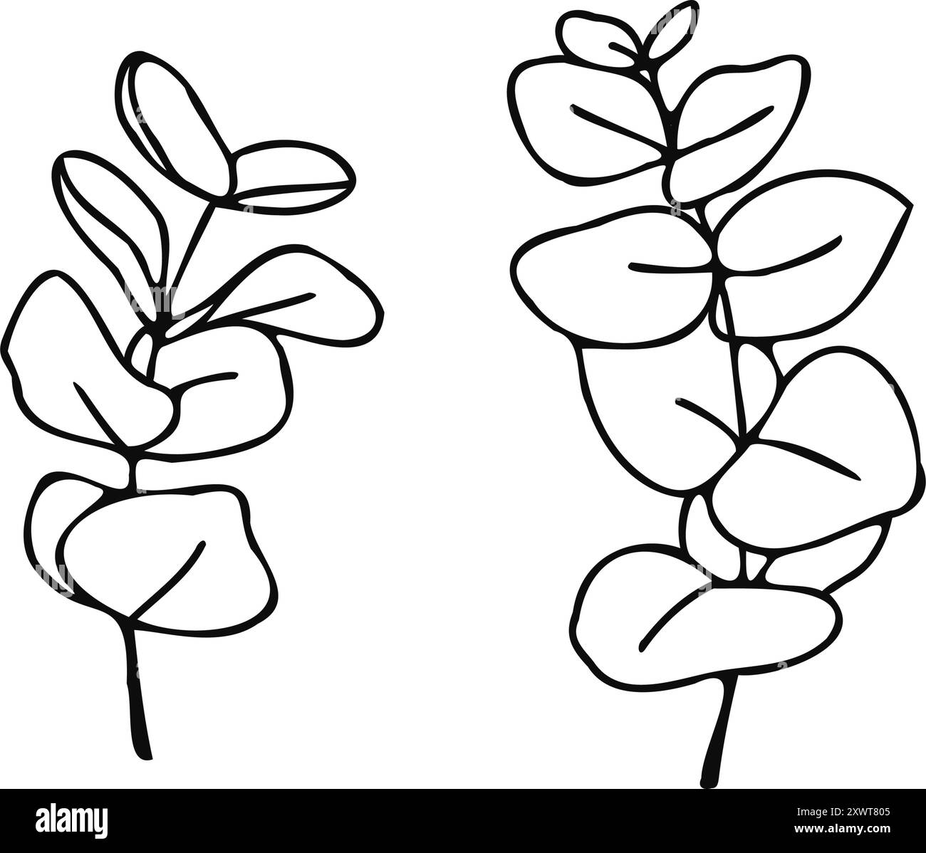 Delicate lineart Black and White Stock Photos & Images - Alamy