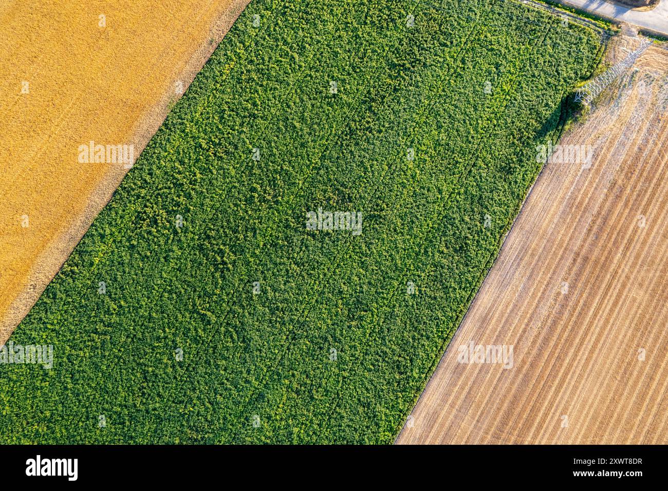 Aerial vegetable farm field hi-res stock photography and images - Alamy