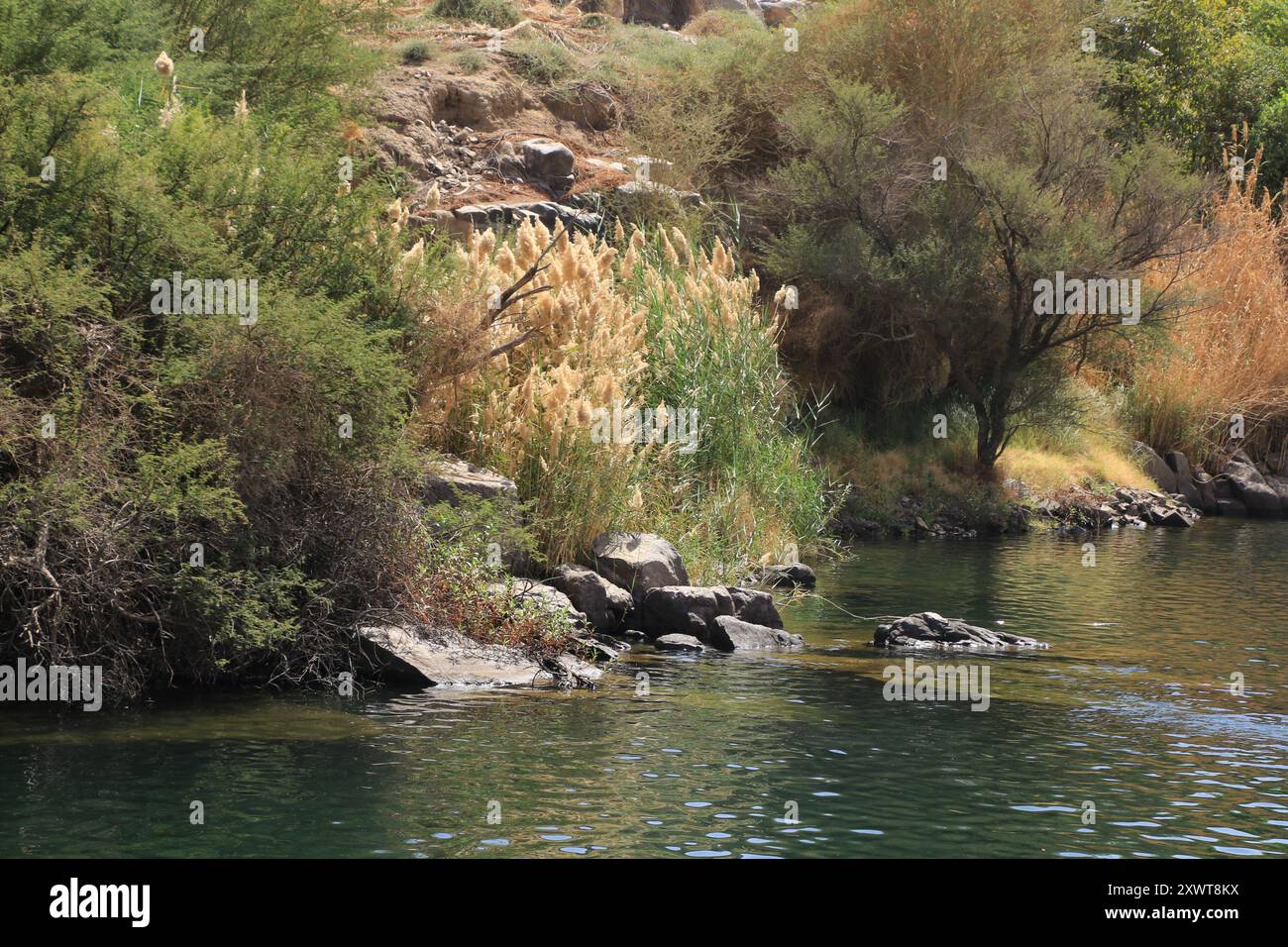 Nature near Nile River in Aswan Egypt Stock Photo - Alamy