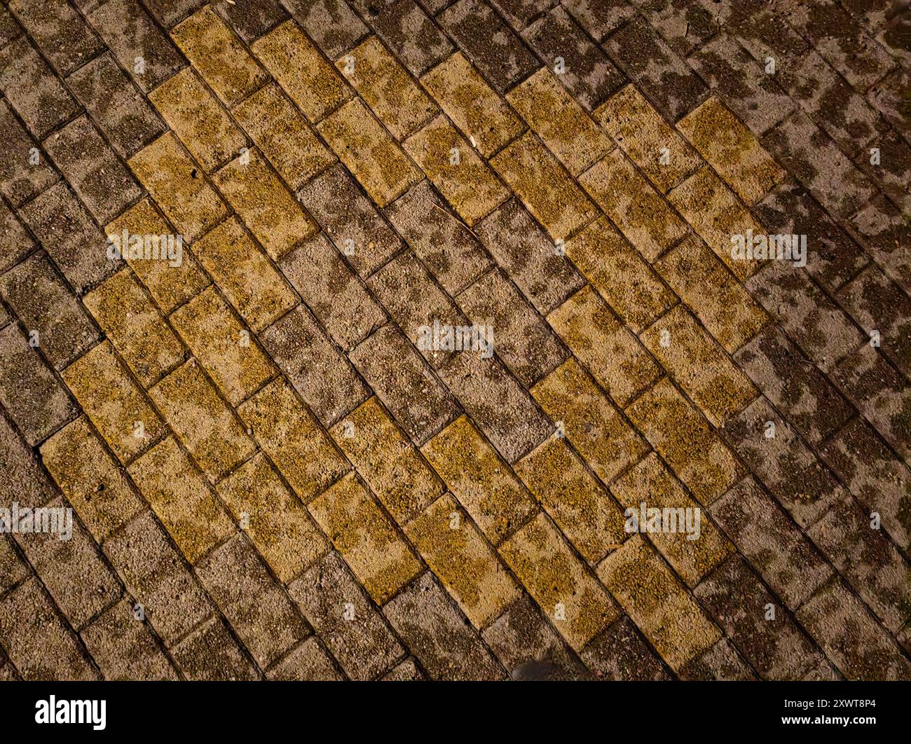 Rainy Drops on Pavement Floor: After the Rain – Wet Surface and ...