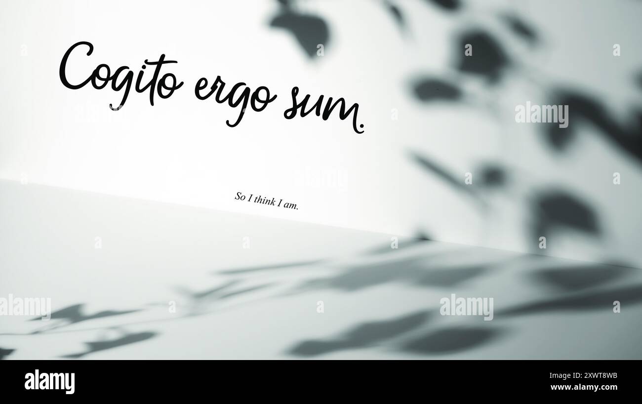 Cogito ergo sum hi-res stock photography and images - Alamy