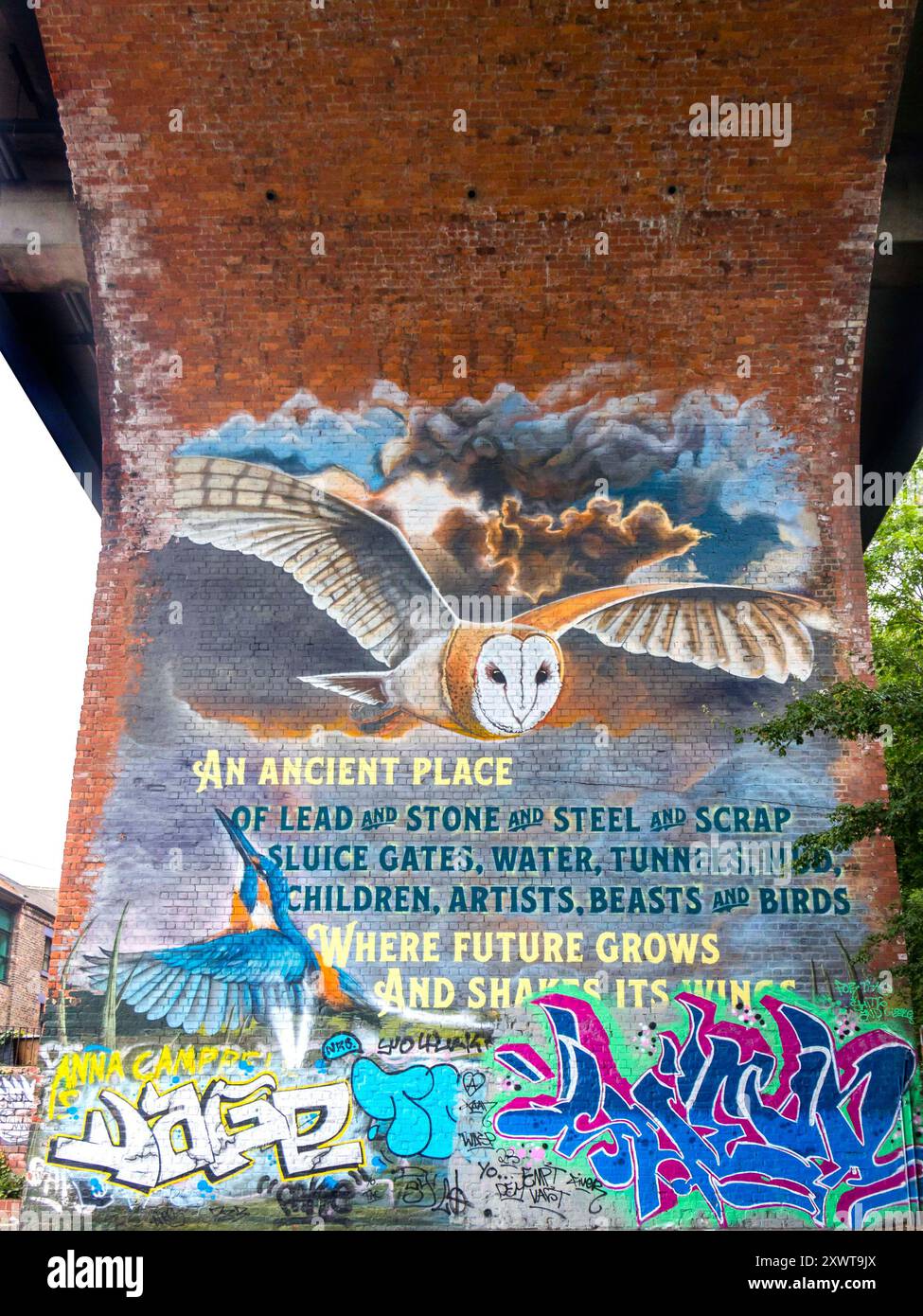 owl street art wall painting underneath railway arch in ouseburn ...