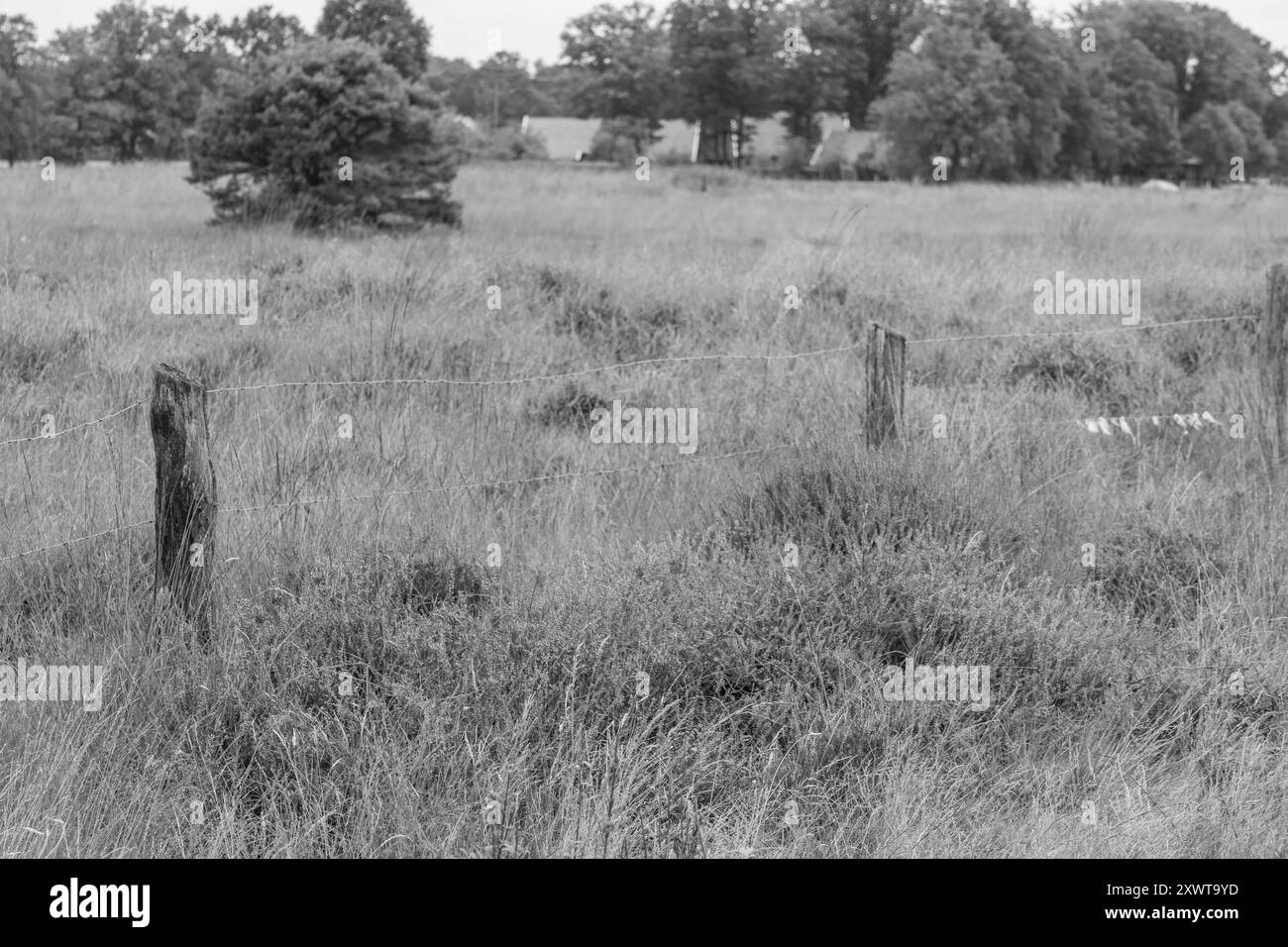 Eibergen in the netherlands Stock Photo - Alamy