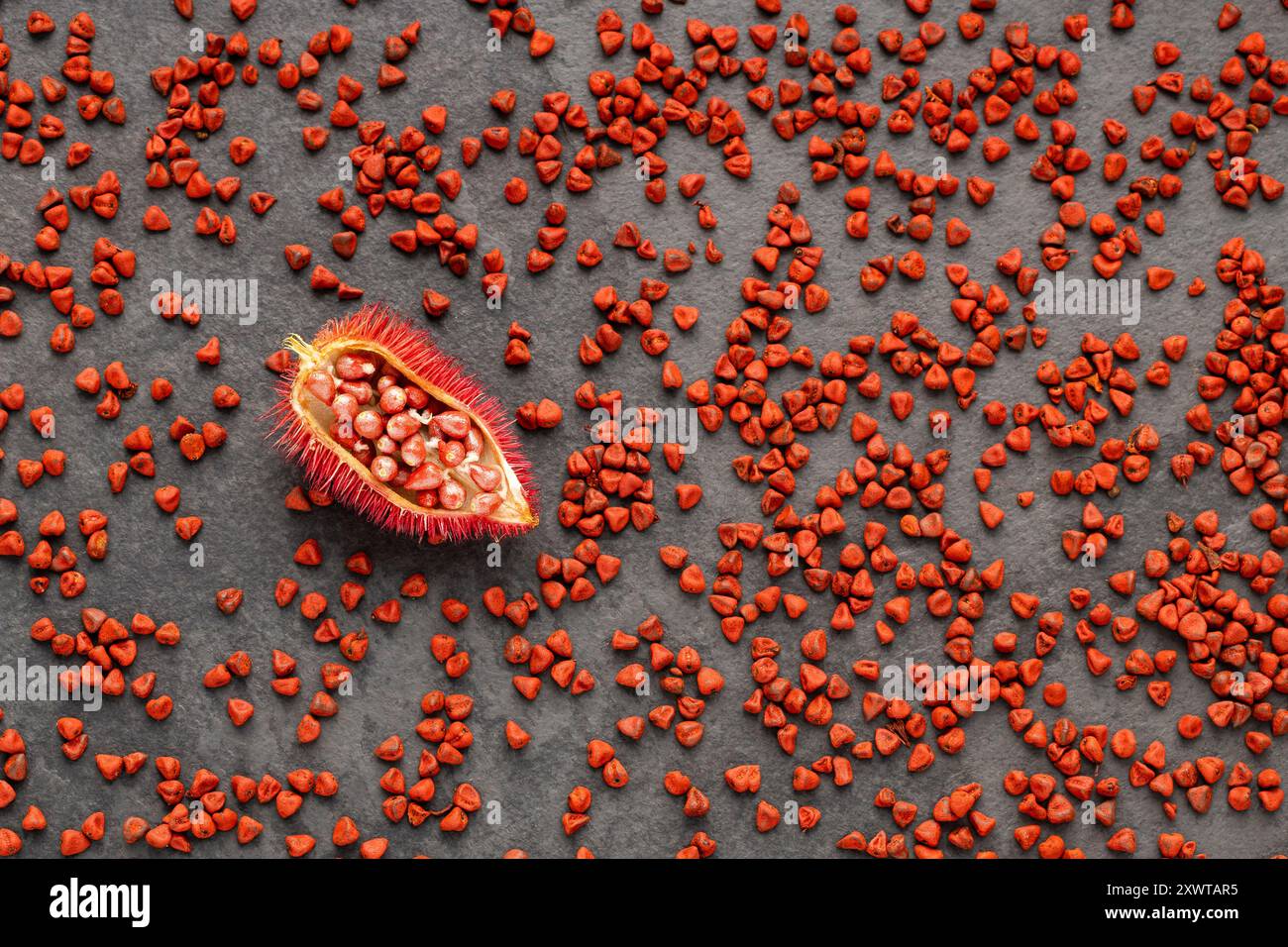 Pile of organic annatto seeds - Seasoning and red food coloring. Bixa ...