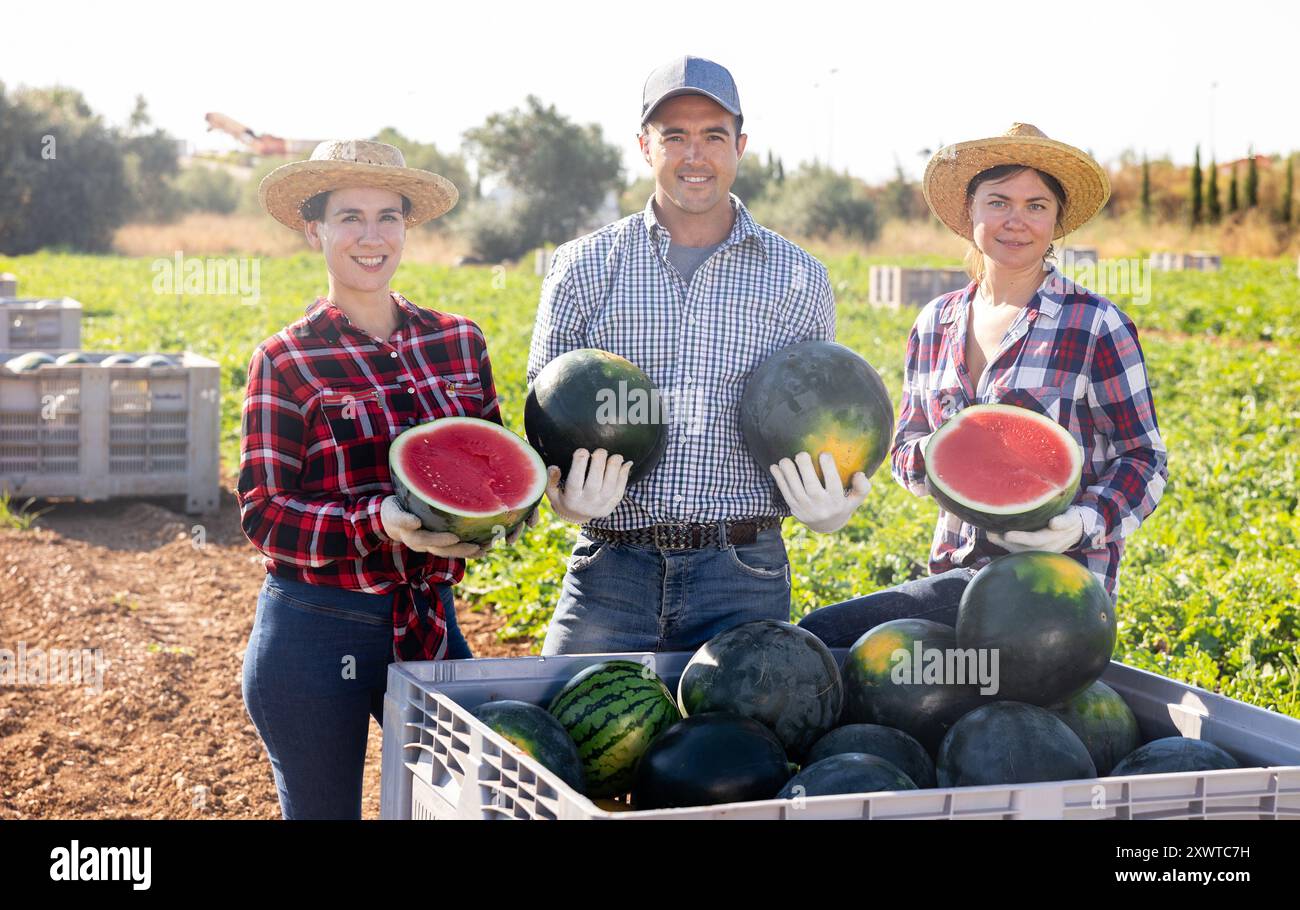Farmers posing in field with watermelons crop Stock Photo - Alamy