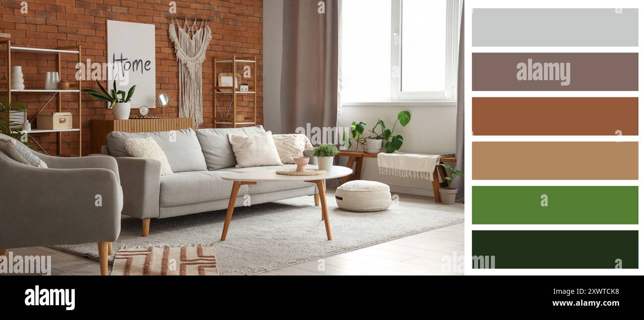 Cozy sofa, armchair and table in interior of living room. Different ...