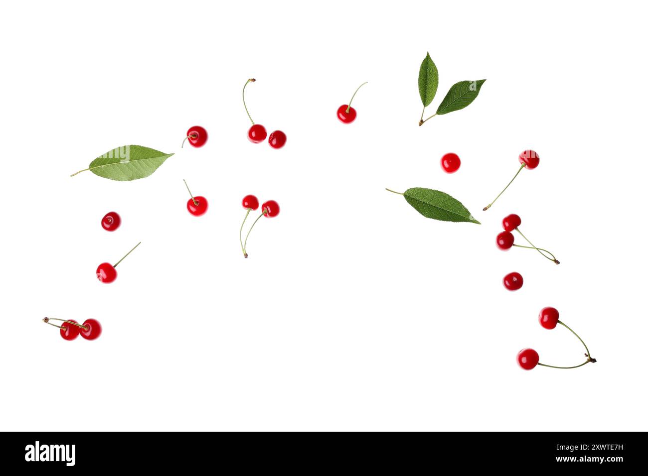 Flying fresh cherries and leaves on white background Stock Photo - Alamy