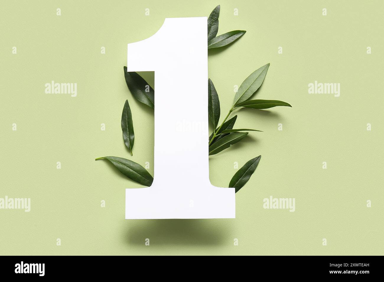 Leaves with paper number one on green background. Top view Stock Photo ...