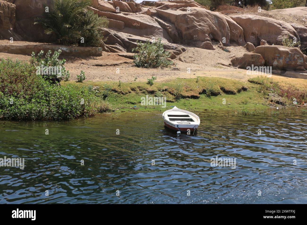 Egypt green hi-res stock photography and images - Alamy