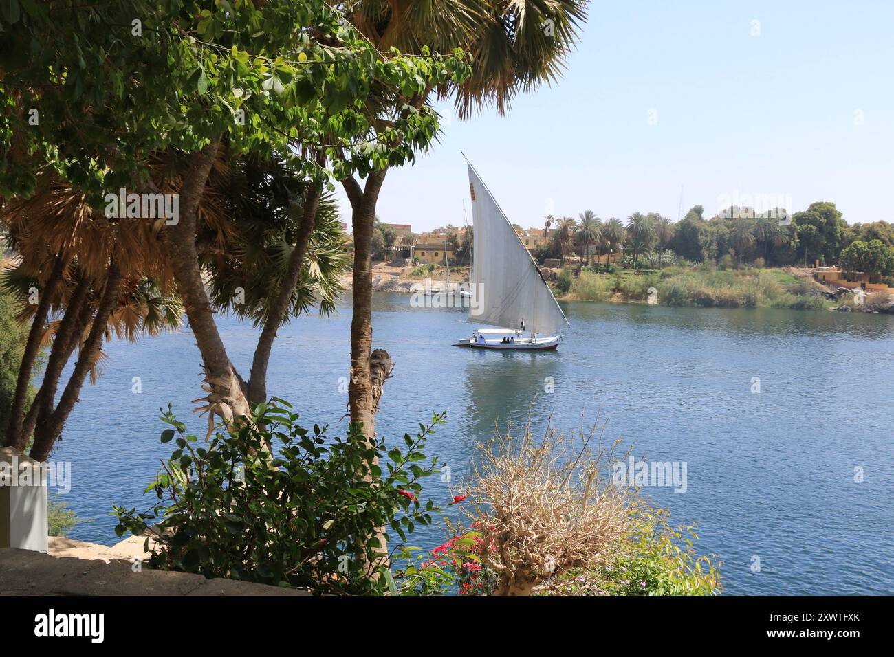 Nature in Aswan - Egypt with a sailing boat Stock Photo - Alamy