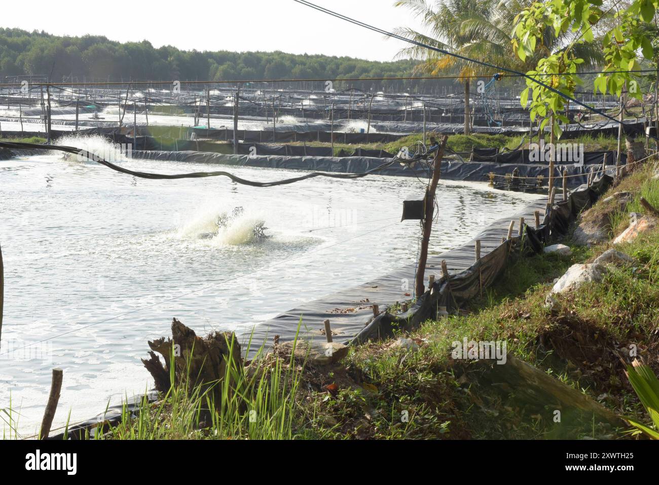 Auf der Inselhälfte Pulau Karimun wurden Regenwaldflächen abgeholzt, um ...