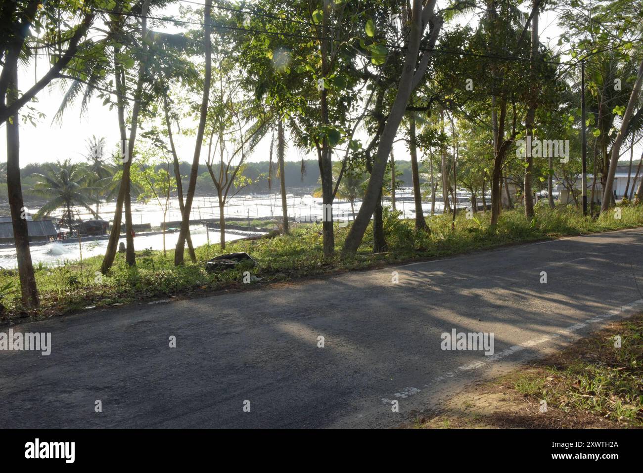 Auf der Inselhälfte Pulau Karimun wurden Regenwaldflächen abgeholzt, um ...