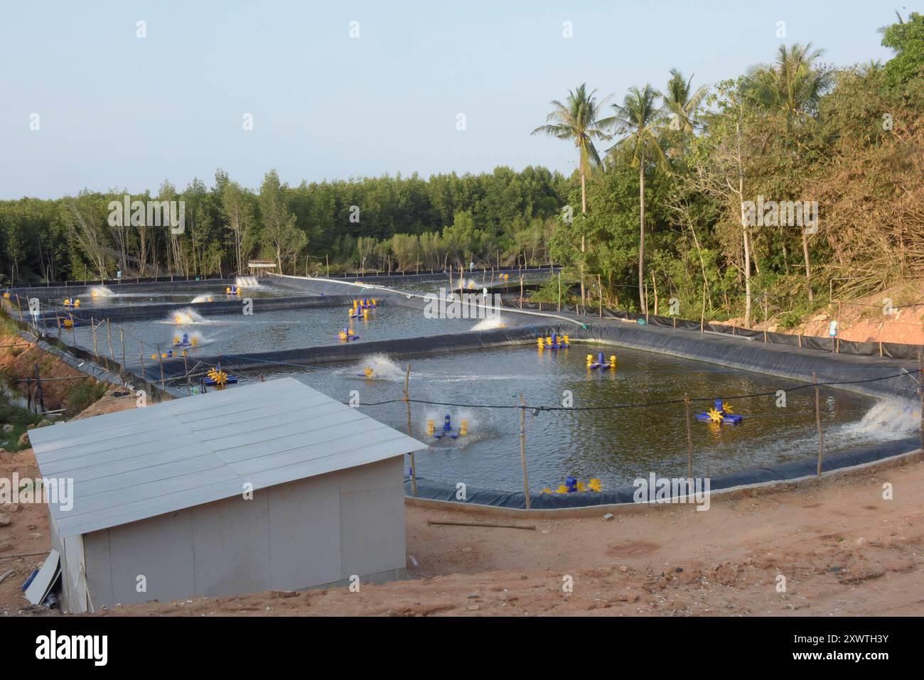 Auf der Inselhälfte Pulau Karimun wurden Regenwaldflächen abgeholzt, um ...