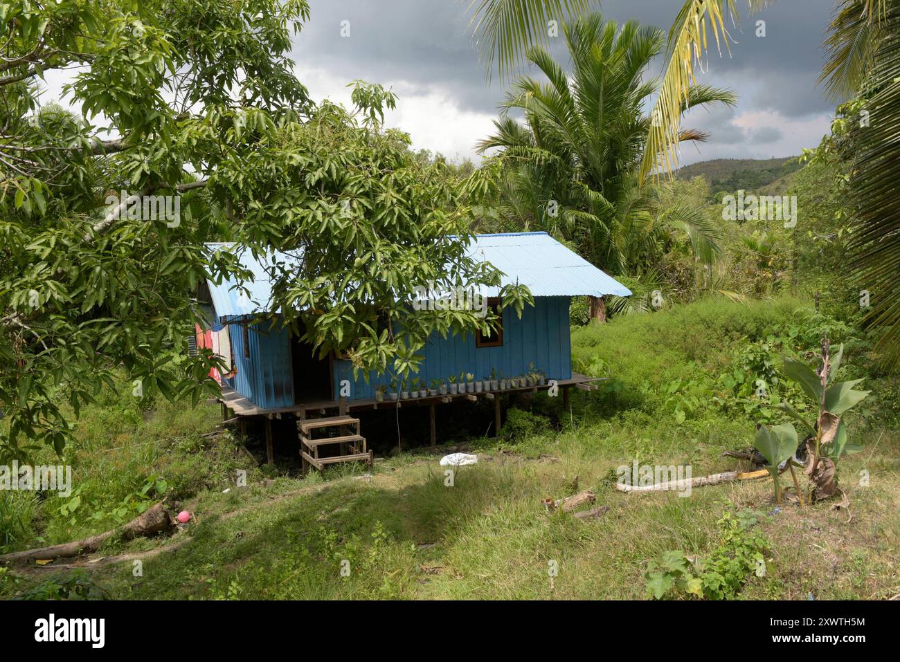 In der Umgebung des Sentani Sees leben etwa 30.000 Menschen der ...