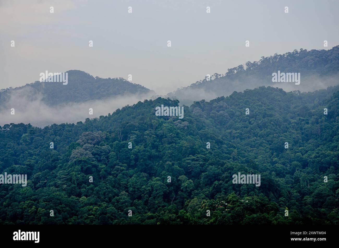 Clouds rolling over a forested hillside in Penang, Malaysia Stock Photo ...