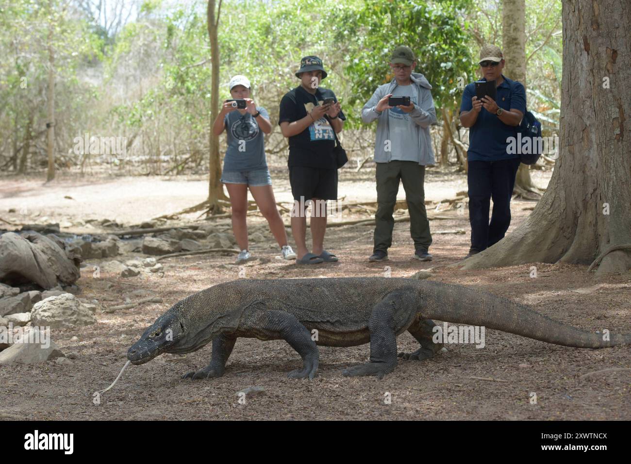 Speichels hi-res stock photography and images - Alamy