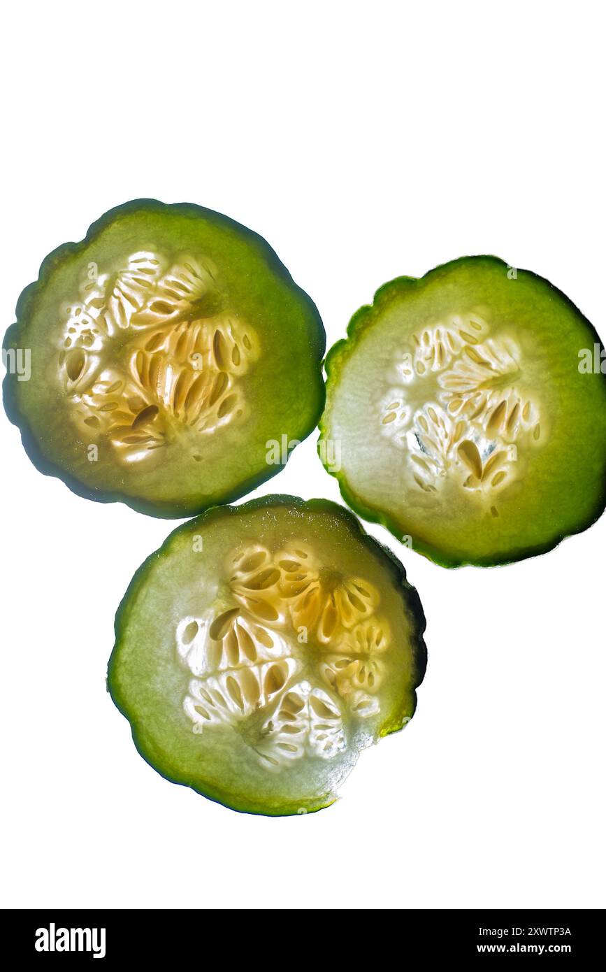 Carosello cucumber texture isolate don white background Stock Photo - Alamy