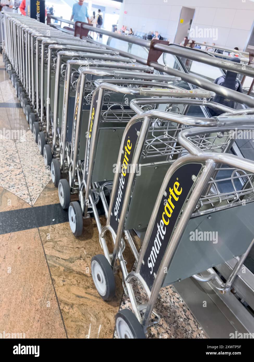 Smart Carte Luggage Carts Neatly Arranged in Airport Terminal Stock ...
