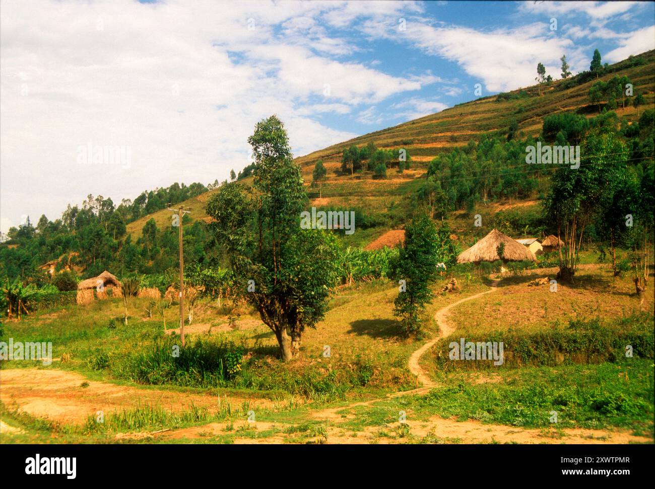 The small town of Kisoro, on the foothills of the Virunga Volcanoes ...