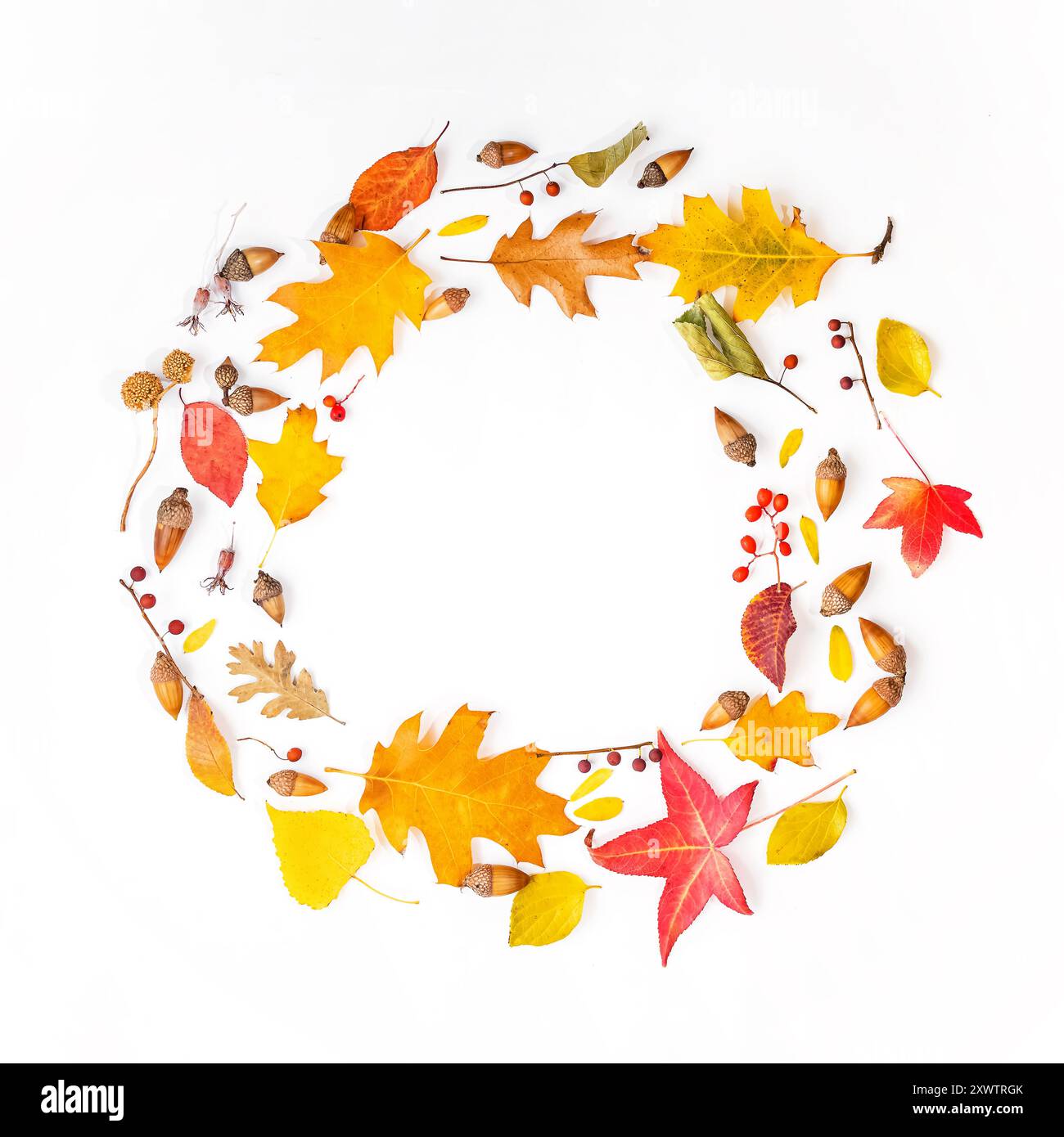 Circular leaf shapes Cut Out Stock Images & Pictures - Alamy