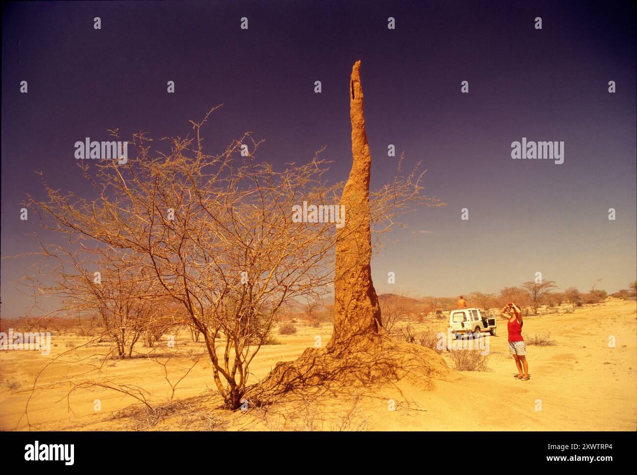 Giant anthill on the arid section near Lokori, Northern Kenya Stock ...