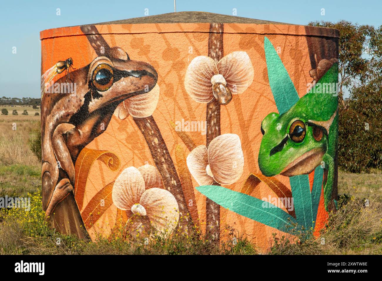 Native Frogs Water Tank Art by Alex Sugar, Clarkefield, Victoria ...