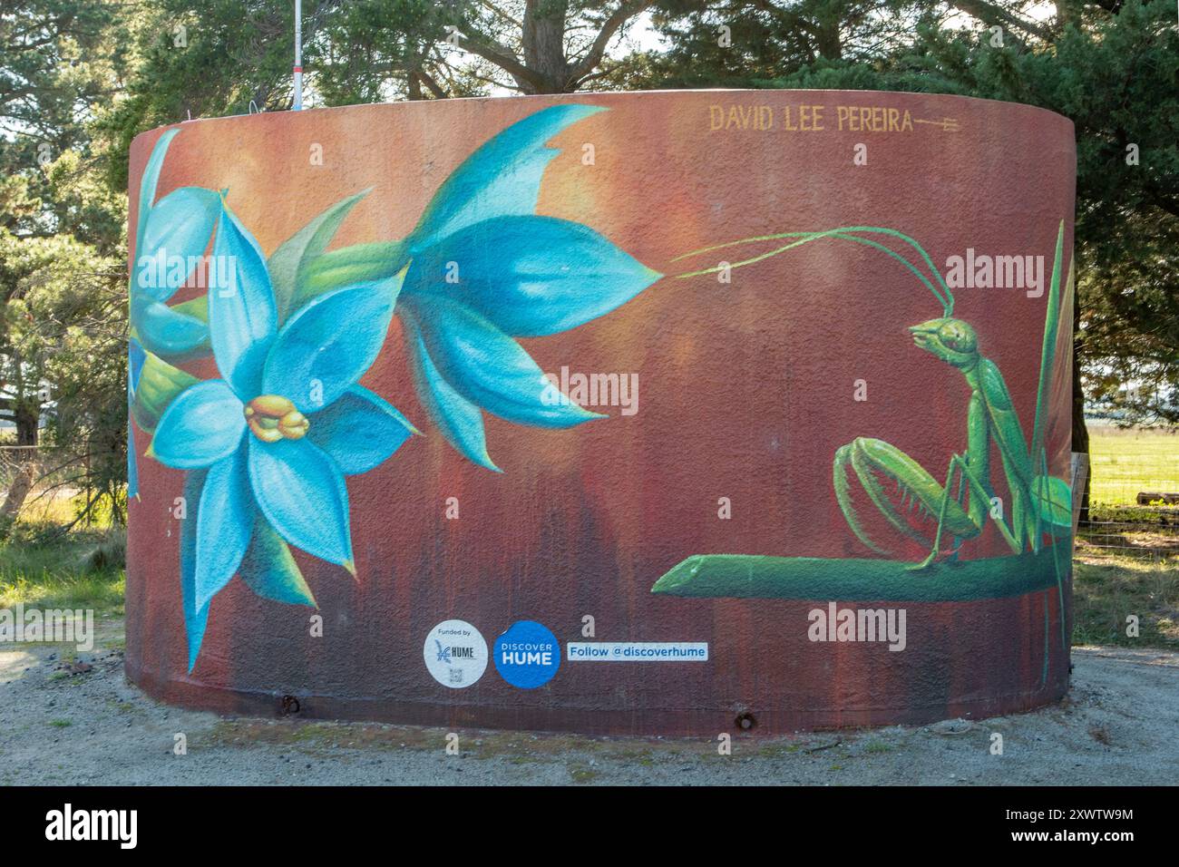 Sun Orchid and Praying Mantis Water Tank Art by David Pereira, Wildwood ...