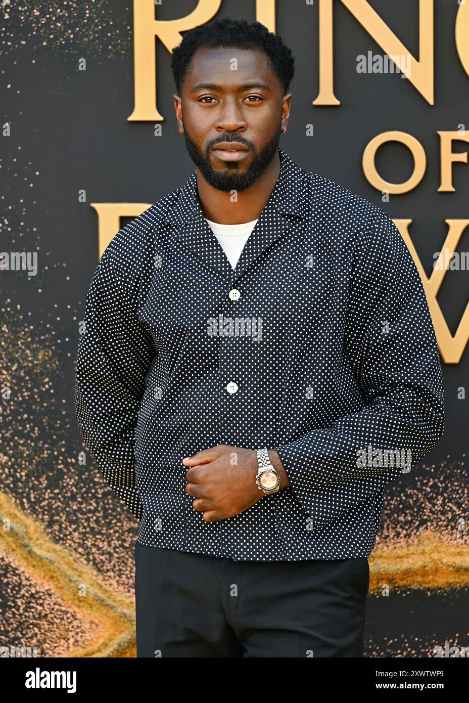 LONDON, UK. 20th Aug, 2024. Aaron Shosanya attends the World premiere ...