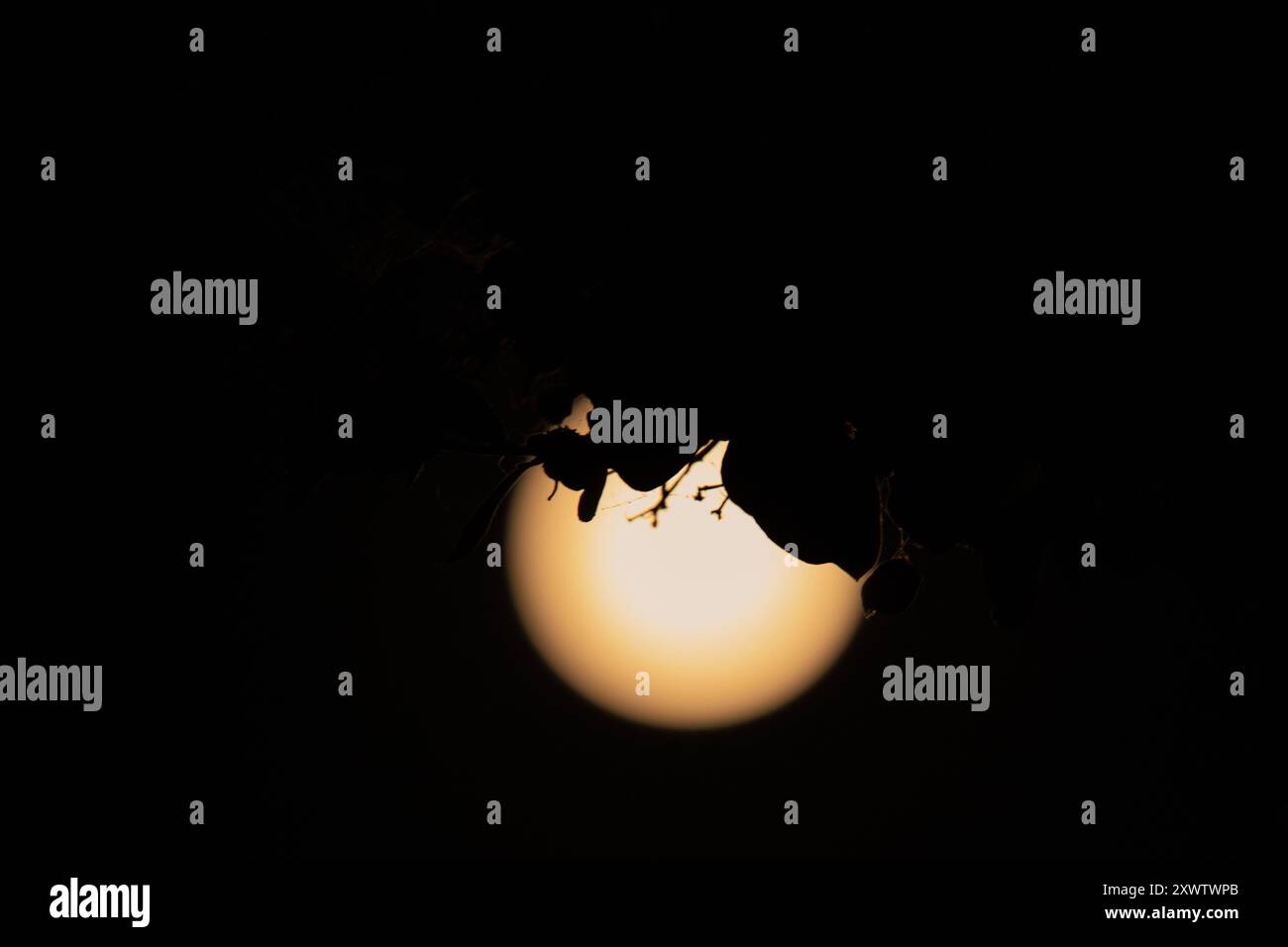 Los angeles super moon hi-res stock photography and images - Alamy