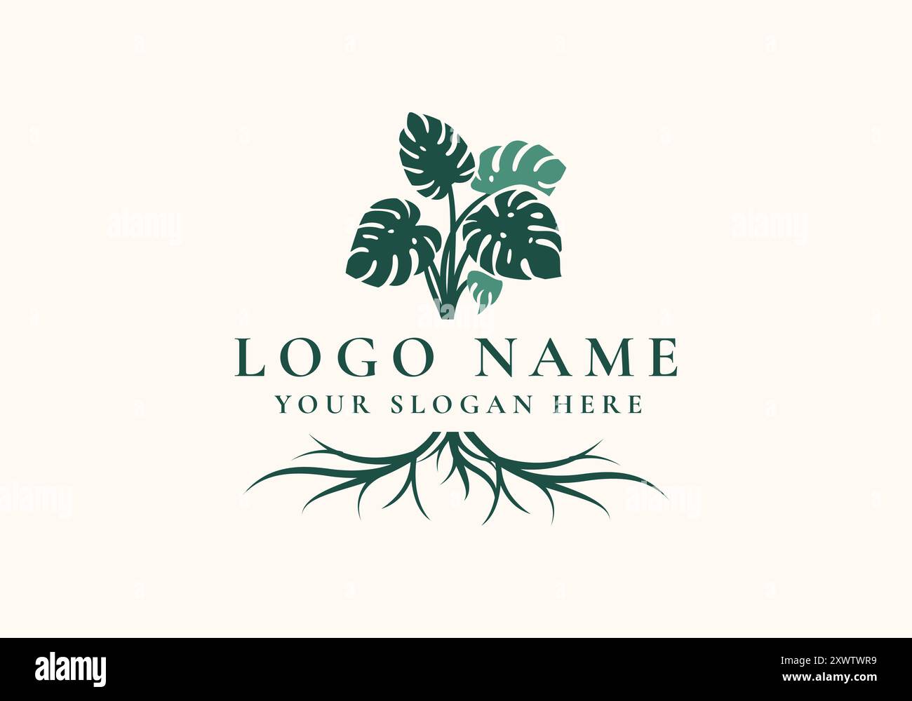 logo monstera leaves and roots. Logo botanical, floral and home plants ...