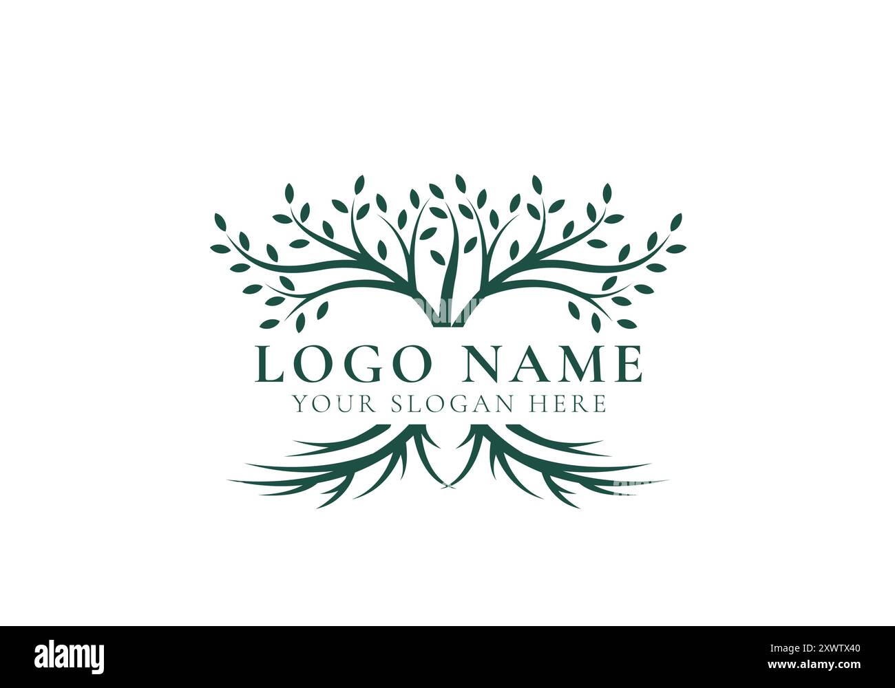 Olive tree roots Stock Vector Images - Alamy