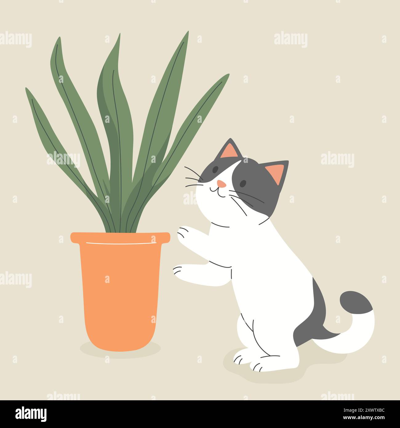 Cute Cartoon Flat Vector Cat Reaching for a Potted Sansevieria Plant ...