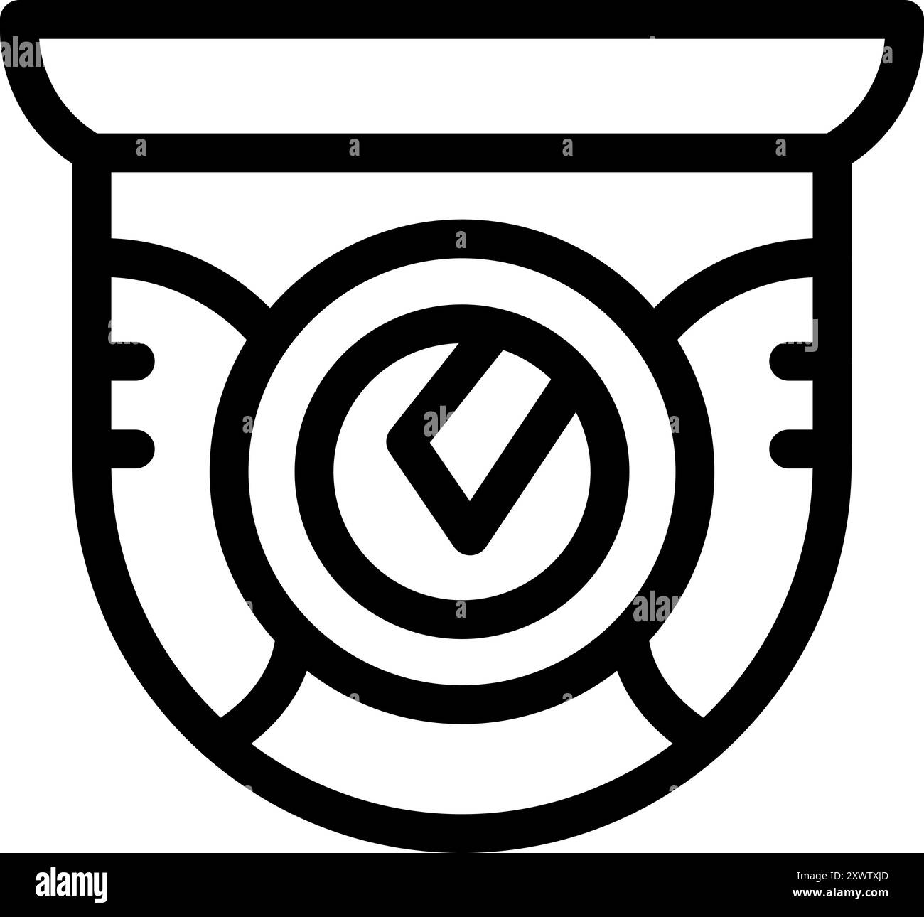 Bold line icon of a security camera with a check mark, indicating that ...