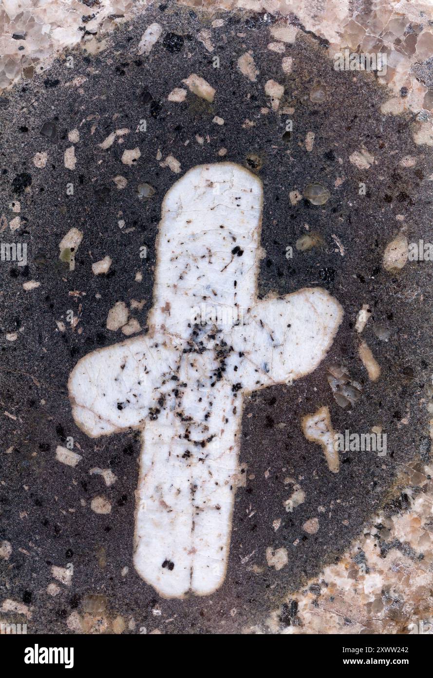 Twinned orthoclase. A small rock detail that exposes the twinning of an ...