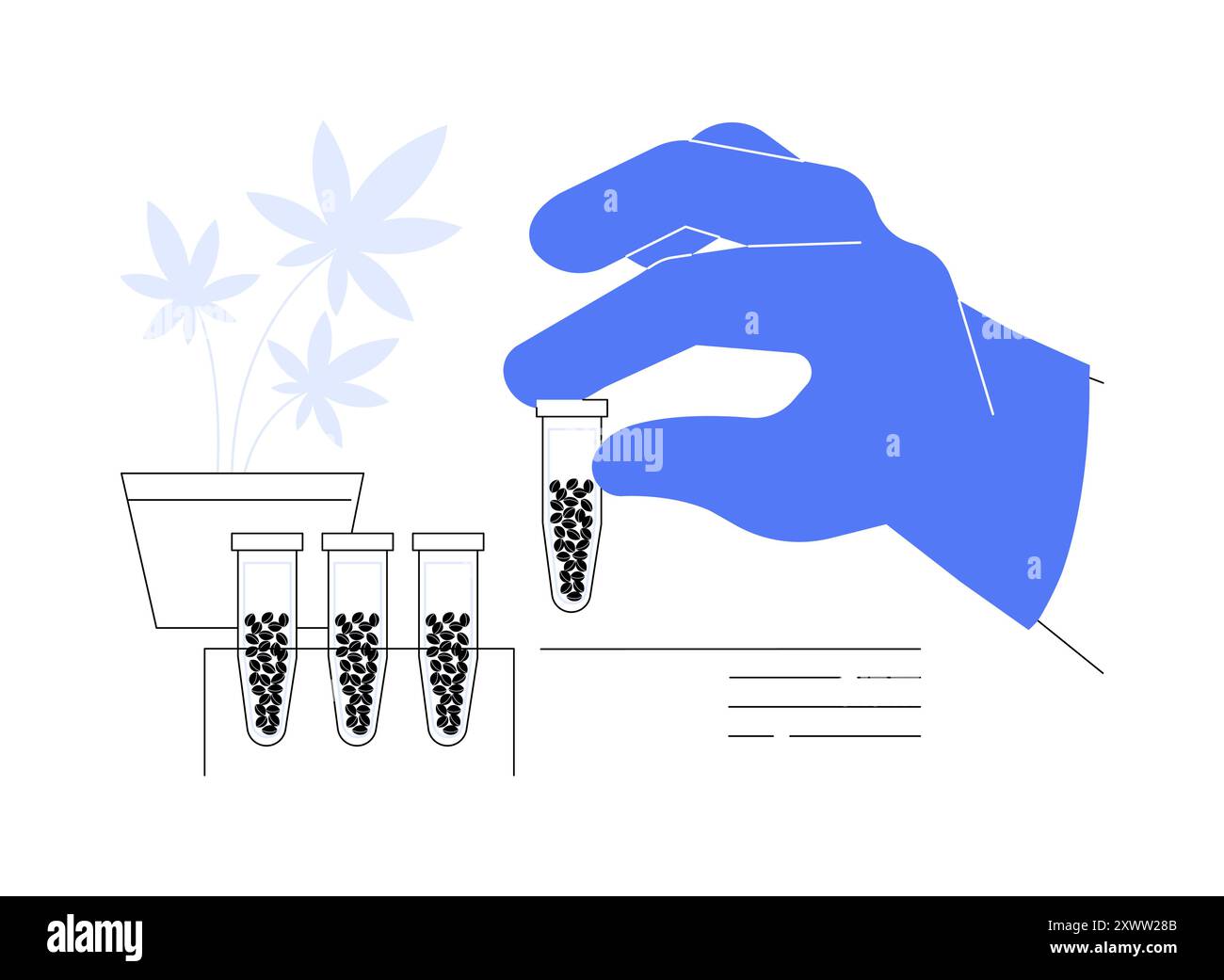 Planting cannabis seeds isolated cartoon vector illustrations Stock ...
