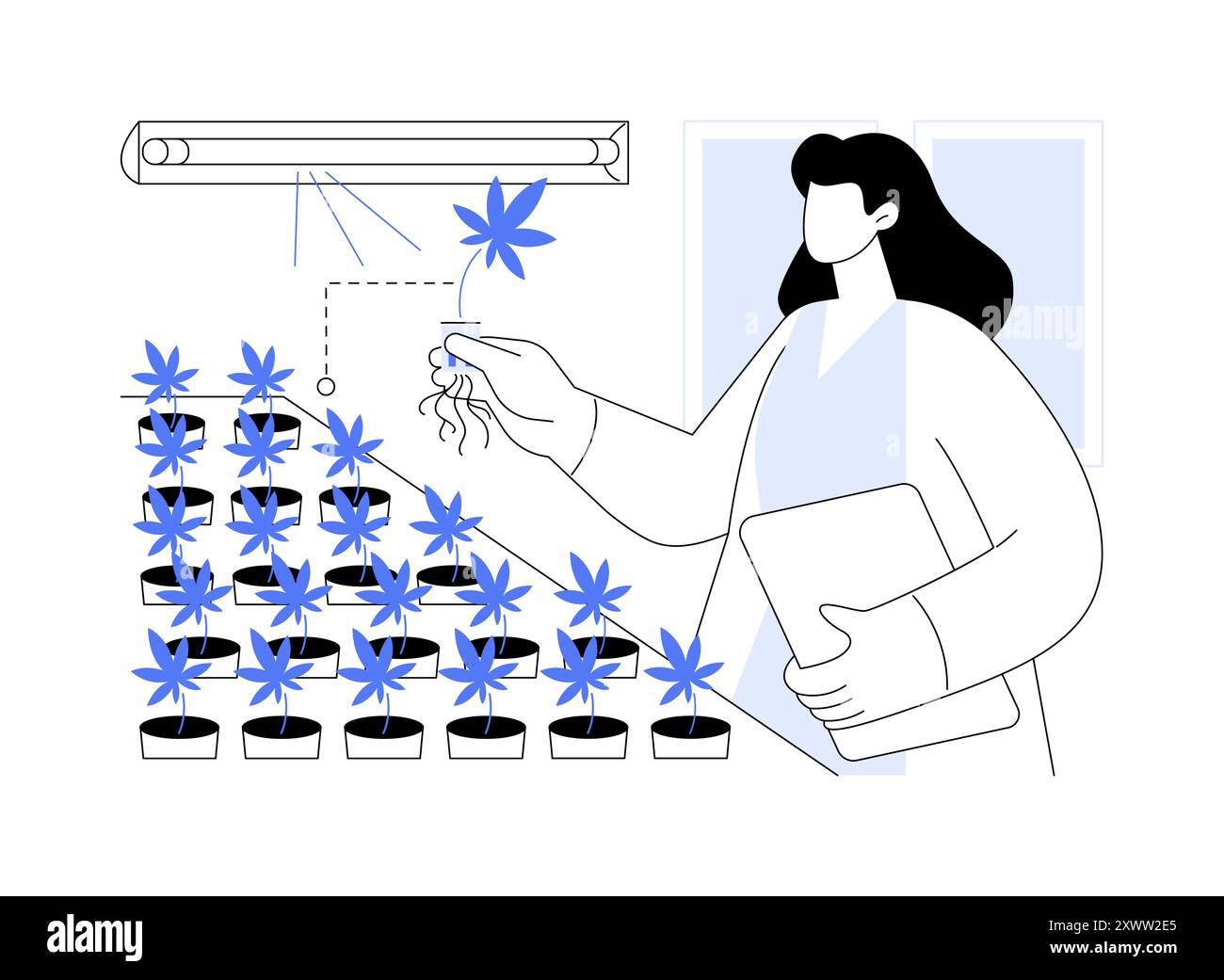 Take cannabis plants from a nursery isolated cartoon vector ...