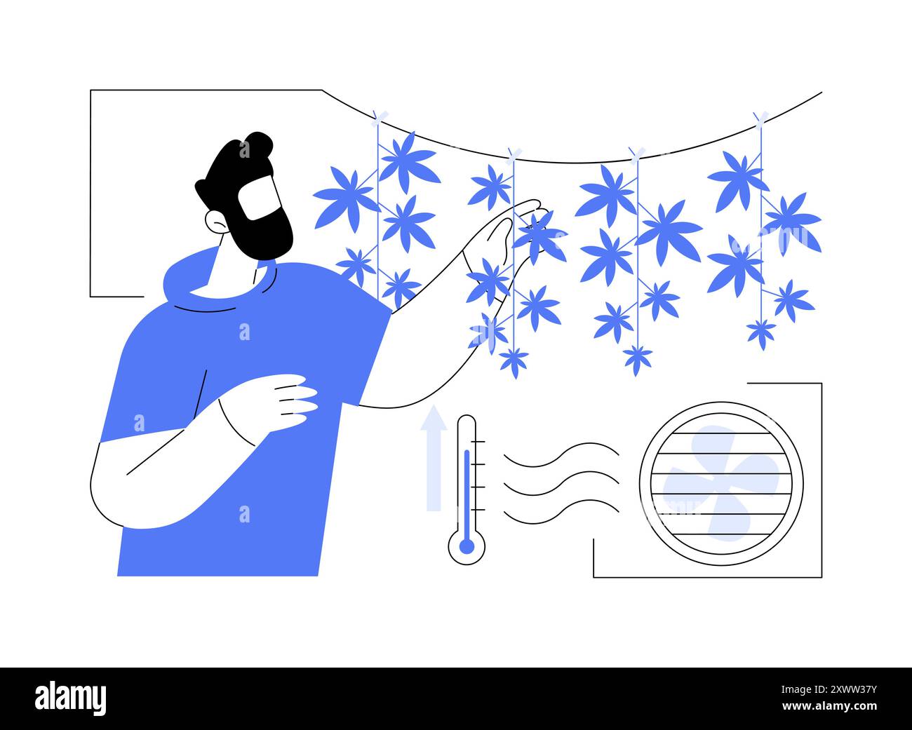 Drying cannabis leaves at home isolated cartoon vector illustrations ...