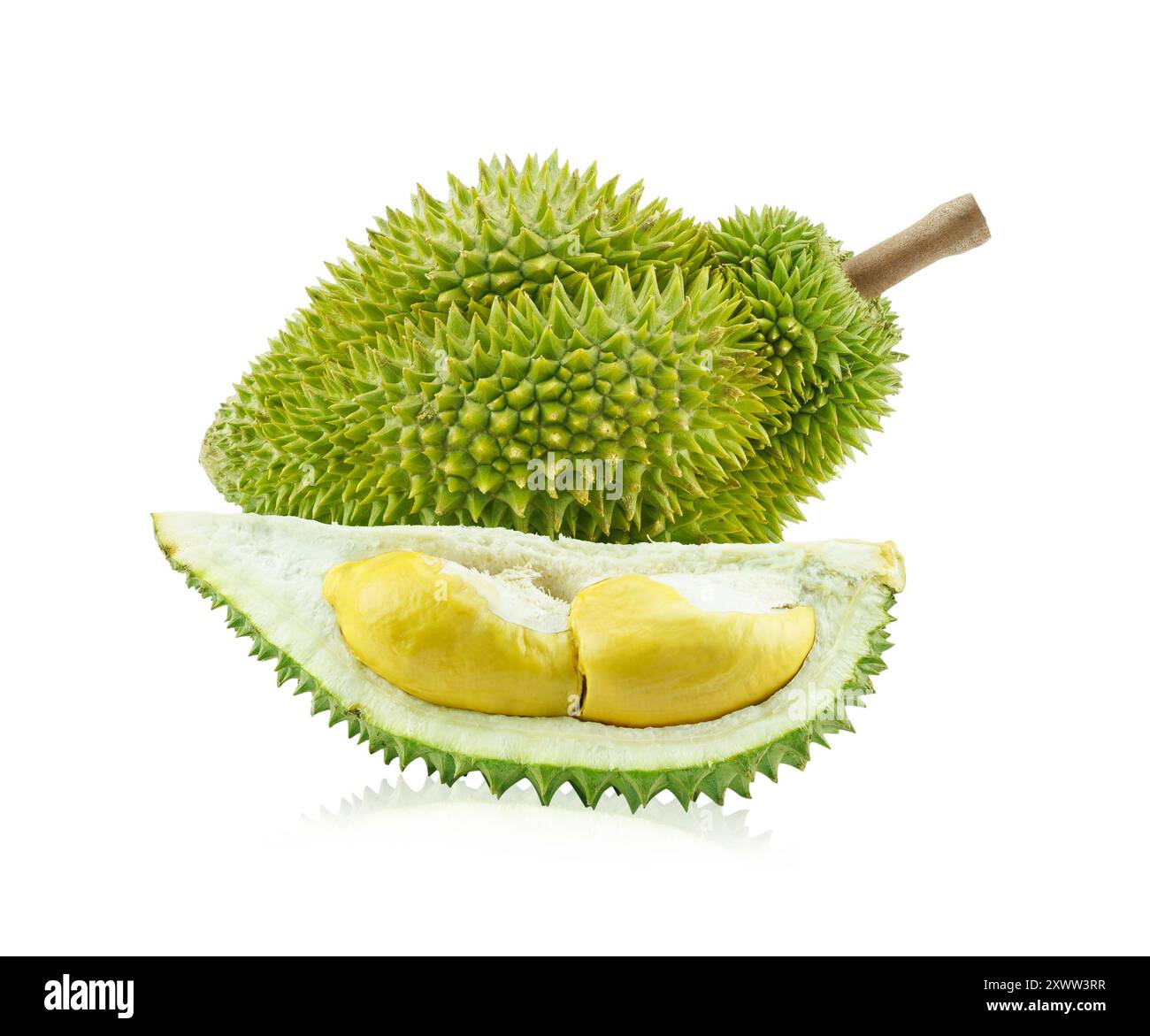 King of fruits, durian isolated on white background Stock Photo - Alamy